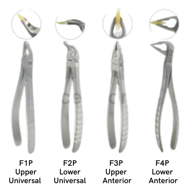 Atraumatic Universal Extraction Forceps, Adult/Pediatric
